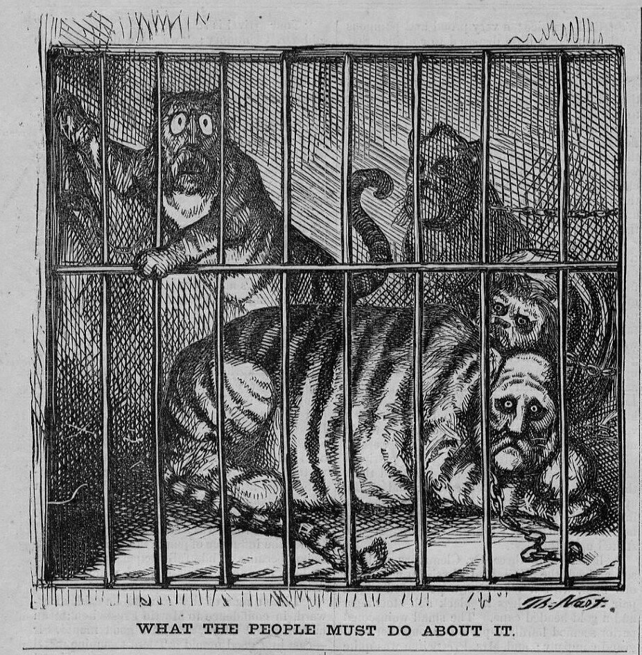 WILLIAM TWEED AND TAMMANY RING MEMBERS CAGED AS TAMMANY TIGERS BY ...