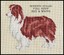 COLLIE, BEARDED & BORDER COUNTED CROSS STITCH PATTERNS | eBay