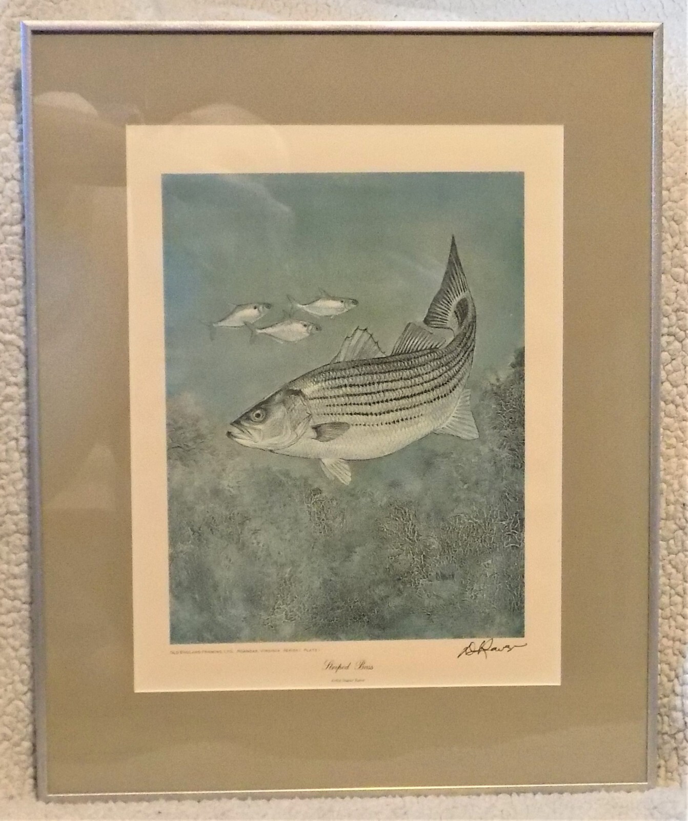 Duane Raver North Carolina Artist Signed Print Series 1 Plate 1 Striped ...