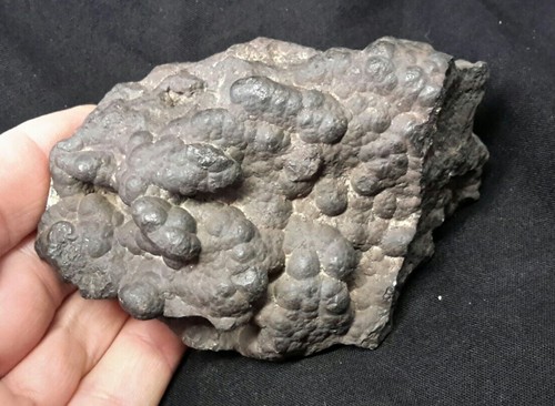 4" GOETHITE from Chihuahua, Mexico | eBay