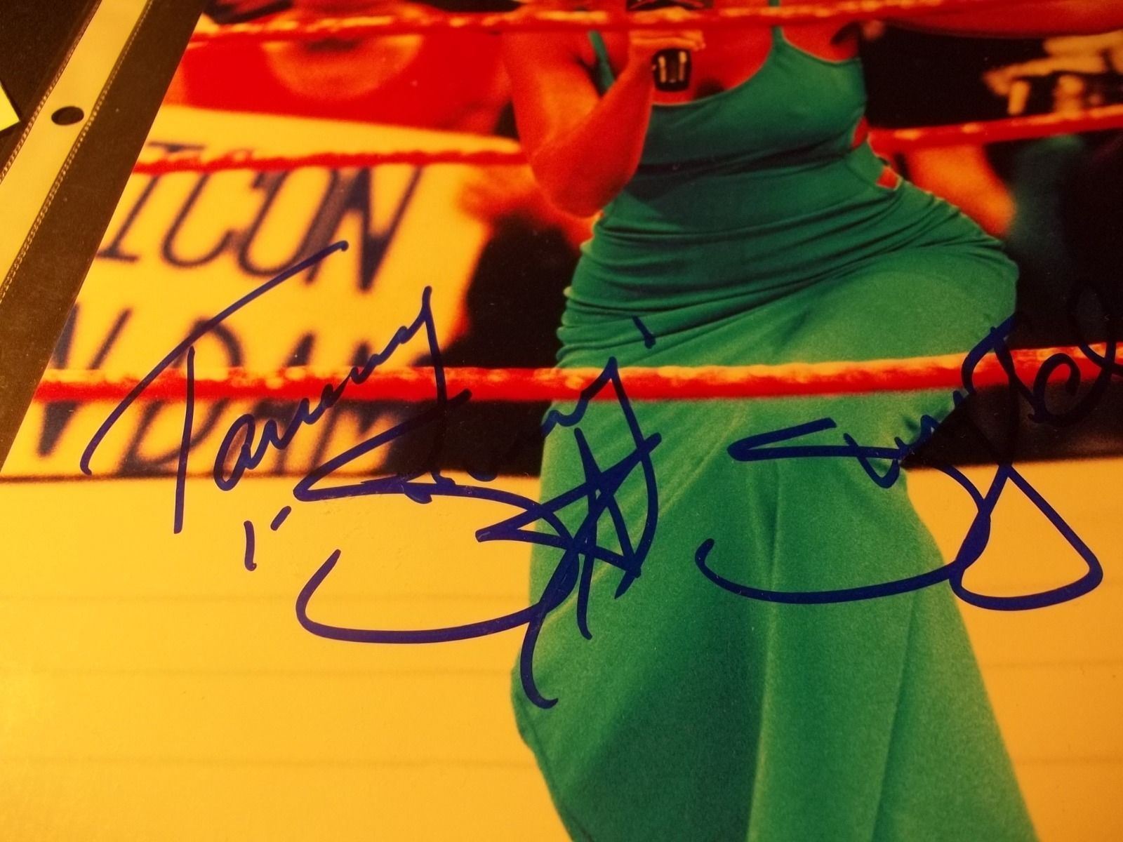 WWF WWE FIRST DIVA SUNNY TAMMY LYNN SYTCH Signed 8X10 PHOTO COA IN RING ...