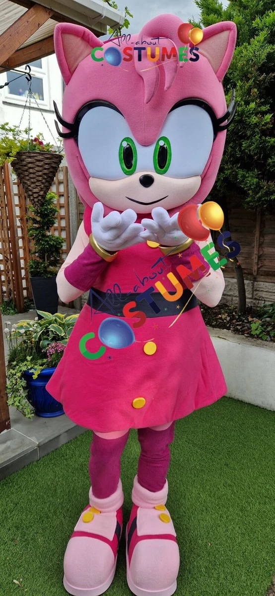 Amy The Hedgehog Costume