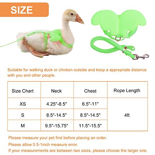 Duck Walking Harness and Leash Chicken Duck Outdoor Training Rope ...