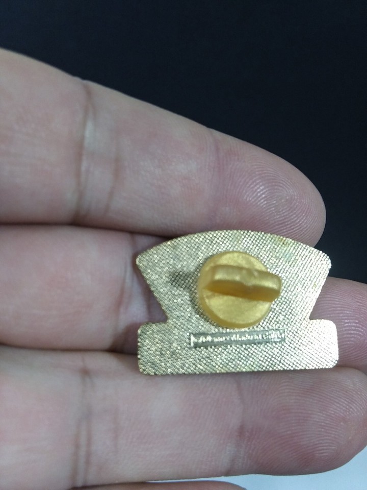 Disney Harambe Wildlife Preserve Pin | eBay