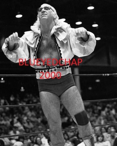 Young Designs Blog Wwf Wrestlers Of The 8039s And 9039s