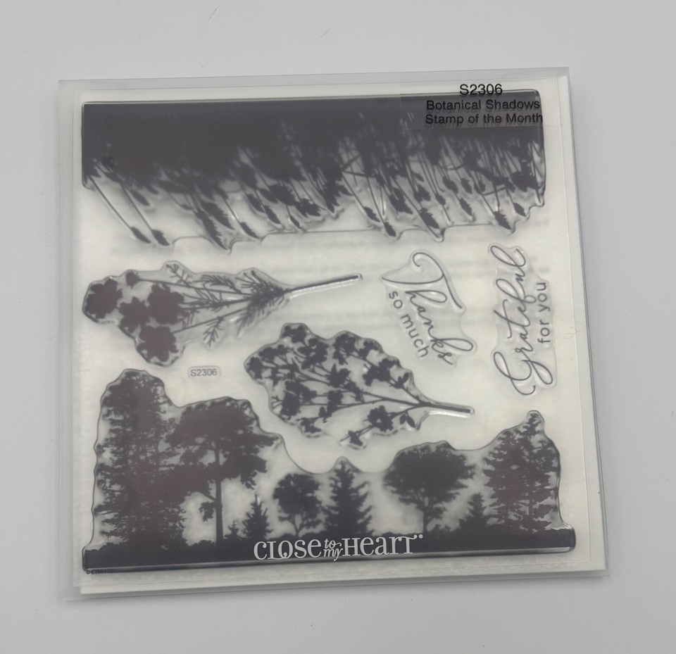 Close To My Heart Stamps ~You Chose. CTMH My Acrylix Stamps | eBay