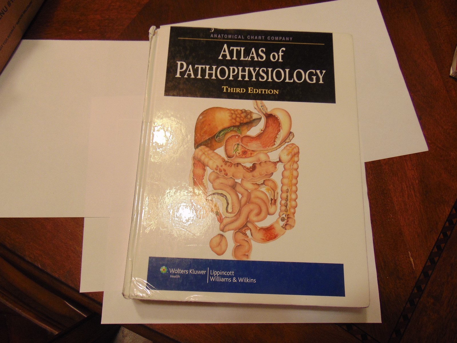 BOOK ATLAS OF PATHOPHYSIOLOGY THIRD EDITION LIPPINCOTT WILLIAMS WILKINS ...