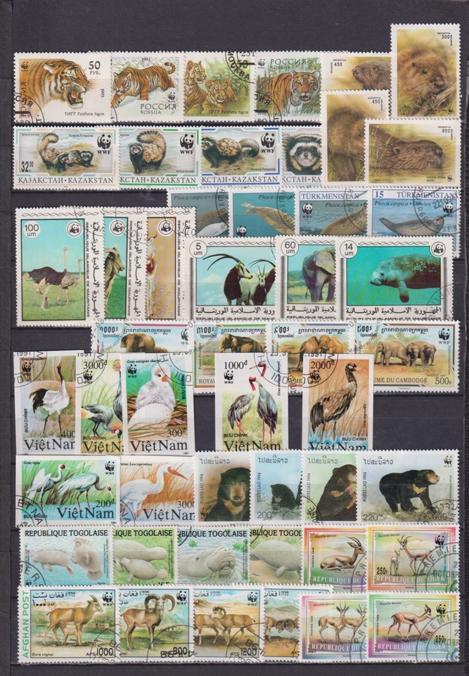 Y1043 - Collection 100 diff. stamps - WWF / WNF 2 SCANS mnh ,used | eBay