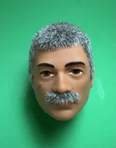 1/6 Gi Joe General Falcon by Estrela From Brazil Muscle Body Head Only ...