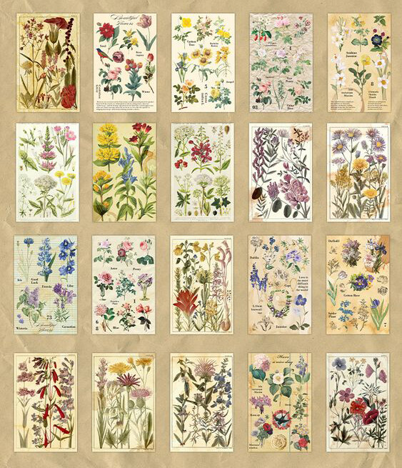 botanical plant retro animal scrapbook DIY paper set scrapbooking DIY ...