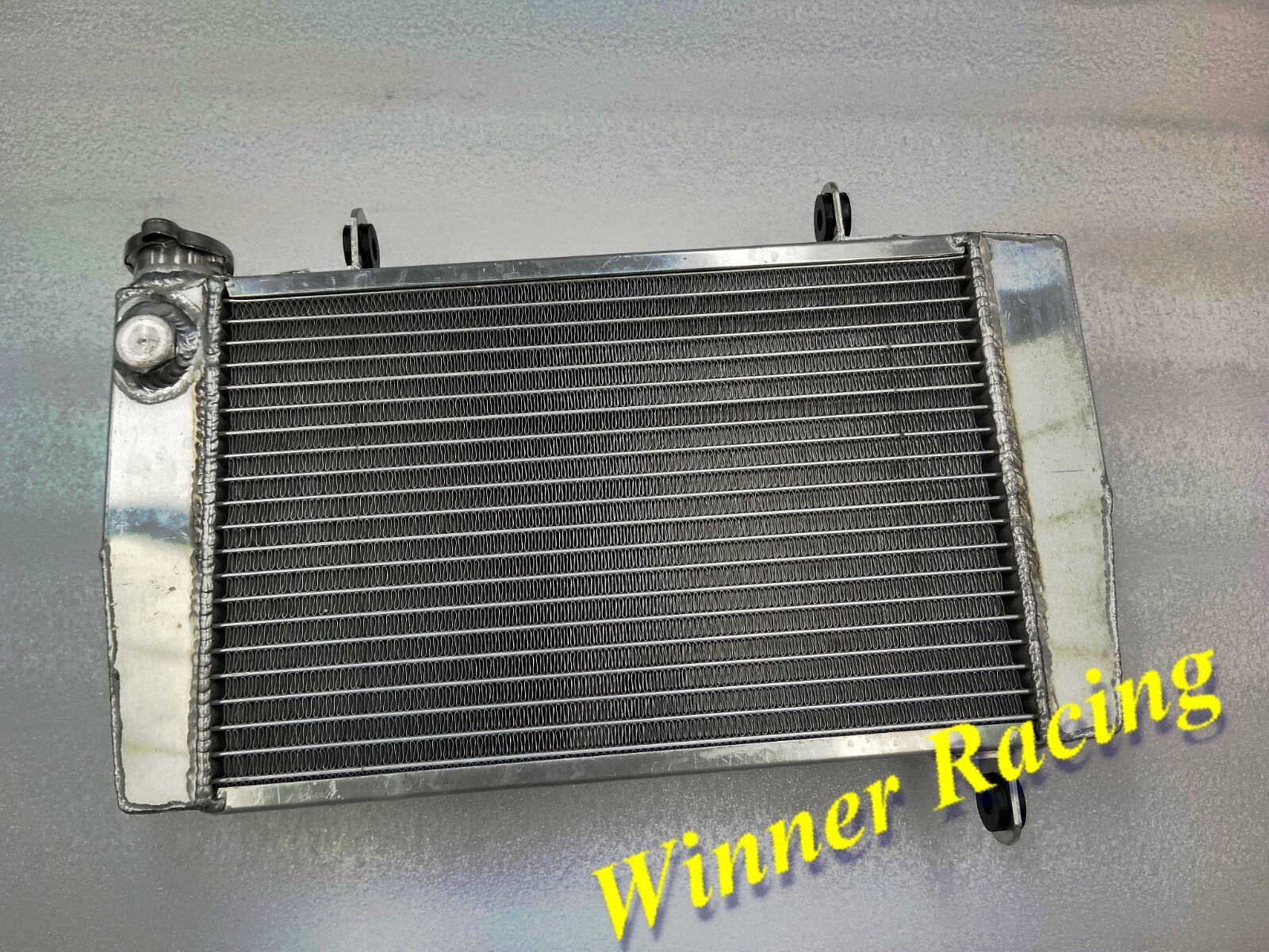 FOR YAMAHA TZ250 4DP TZ 250 4DP 1992-1995 1993 1994 Aluminum Radiator ...