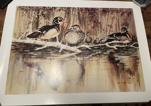 Nature Landscape Print, “Wood Ducks” By John Gallucci | eBay