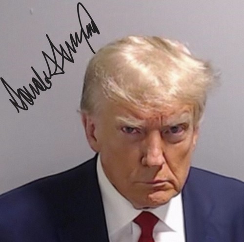 President Donald J. Trump 8x10 Signed Autograph Facsimile Mugshot ...