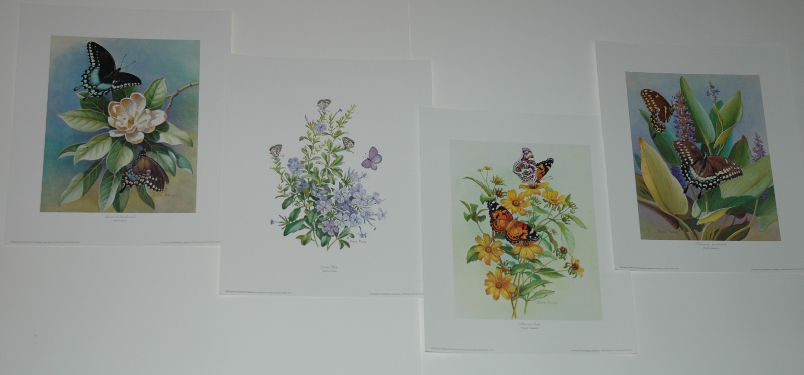 Diane Pierce BUTTERFLIES OF THE AMERICAS Butterfly Art Print SET OF 4 ...