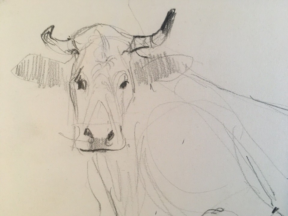 Very beautiful lead pencil drawing Animal Cow Nature Early XX Henriette ...