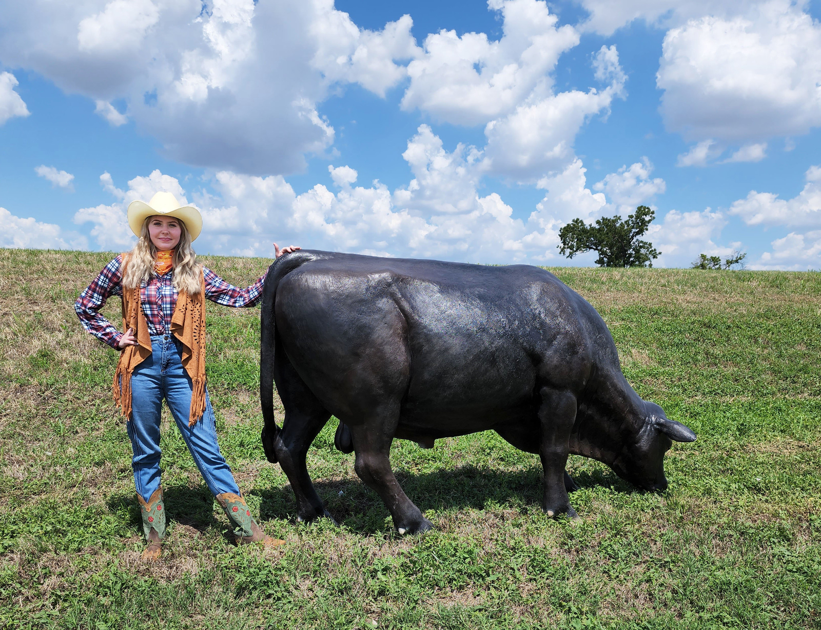 Life Size Bull Statue - Black Angus Bull Life Size Statue (Grazing) | eBay