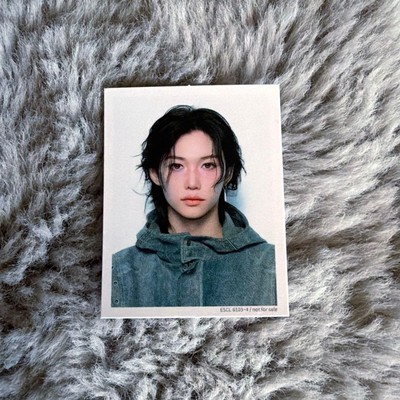 Straykids Felix ID Photo ID Photo | eBay