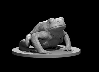Giant Toad for D&D Dungeons and Dragons Pathfinder DND Mini | eBay