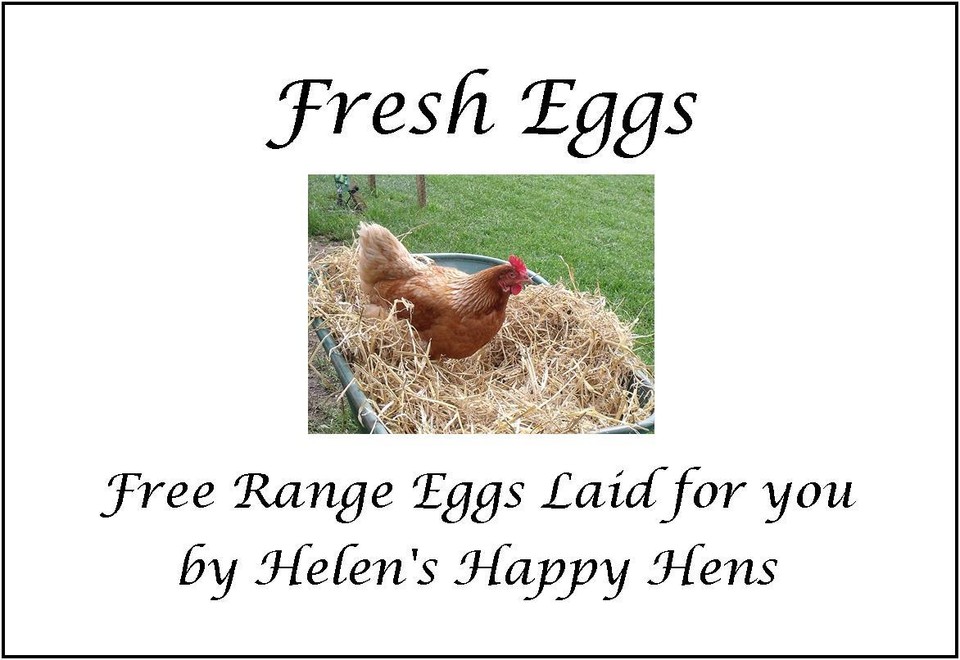 LARGE PERSONALISED CHICKEN HEN EGG BOX LABELS 8 Per Sheet | eBay UK