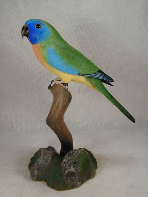 Splendid Parakeet