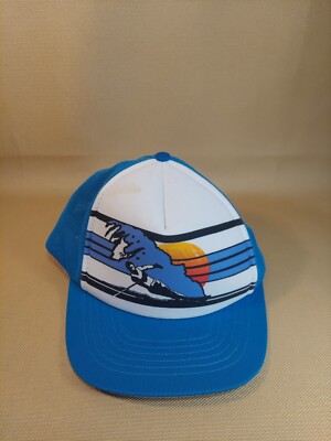 VINTAGE Surf Wash Universal Hat Cap Surf Mesh Trucker Snapback Blue ...