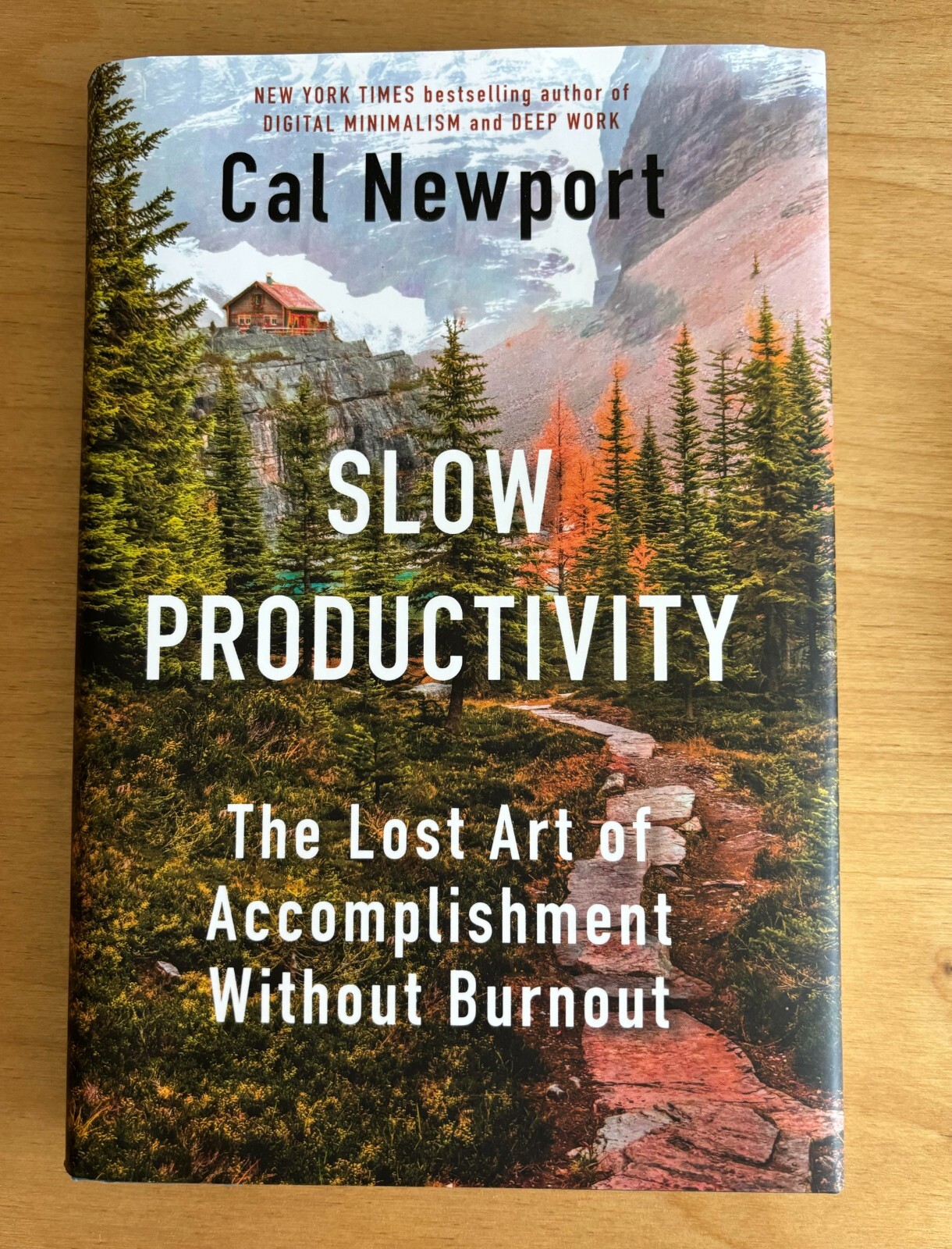 Slow Productivity - Cal Newport (Hardcover) (2024) 9780593544853 | eBay