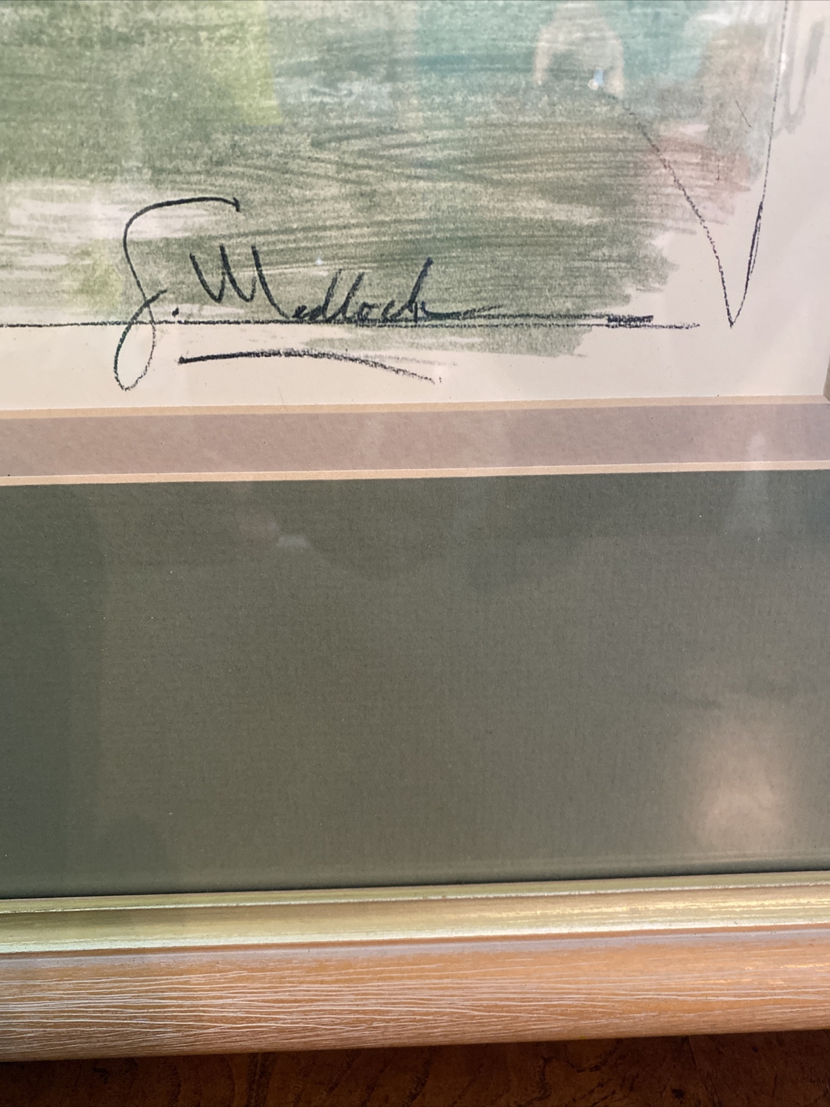 GREG NORMAN "HALL OF FAMER" CEO LIV TOUR GOLF PRINT 34x43 SCOTT MEDLOCk ...