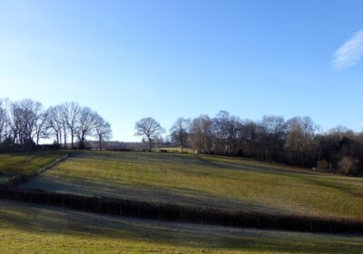 Photo 6x4 Hall Field Charlwood/TQ3934 The name of the field according ...