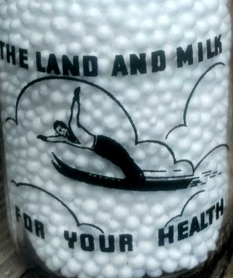 Thomas Dairy Orrin Ellingson Auburn Cal. Half Pint Pyro Milk Bottle ...