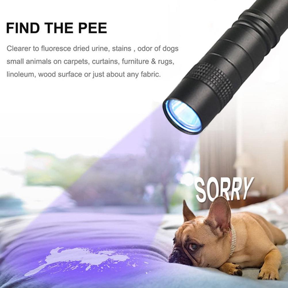 3Pcs 3W Flashlight UV Penlight 365nm Ultraviolet Detector for Dog Urine ...