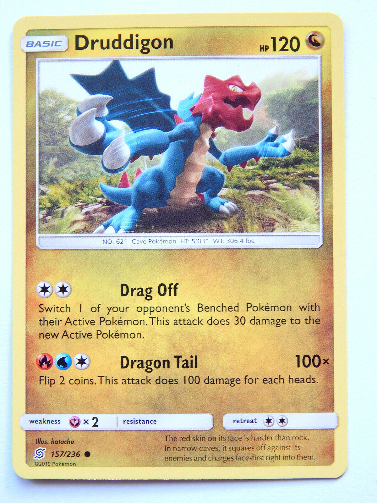Druddigon Pokemon Card