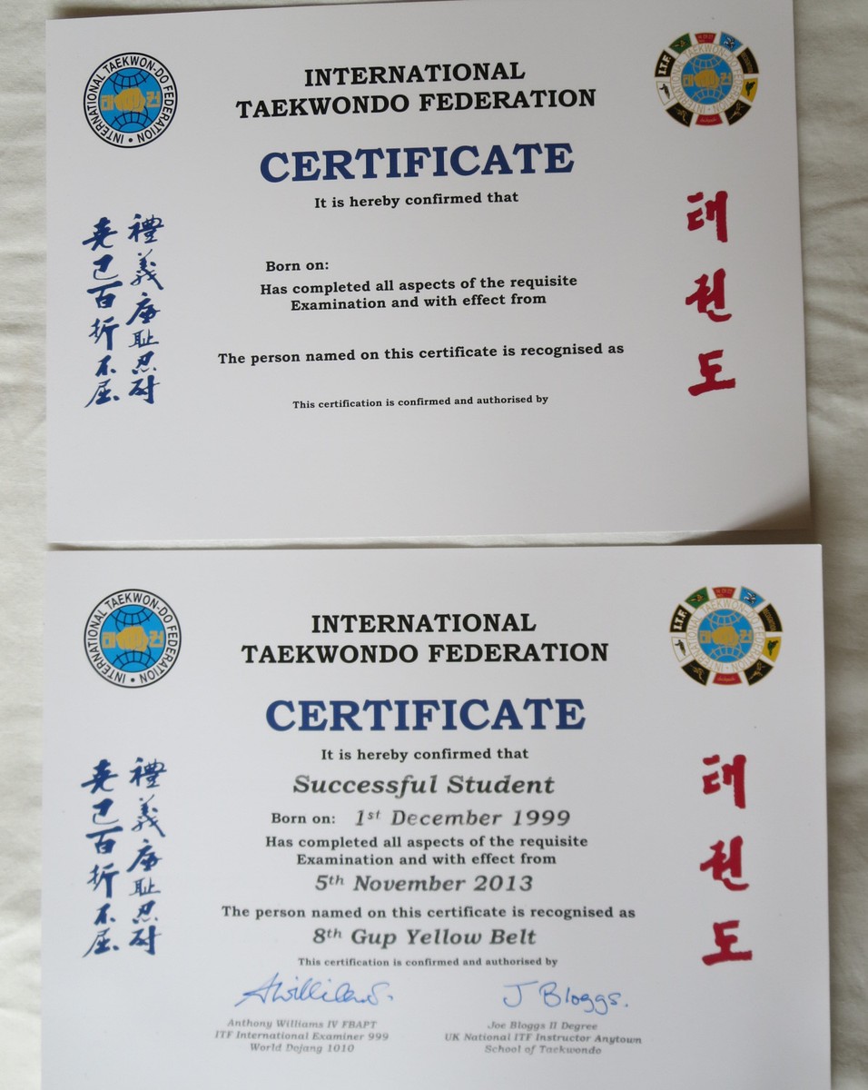Tae Kwon Do Certificates Jeon Eui Taekwondo | Congratulation To Diana