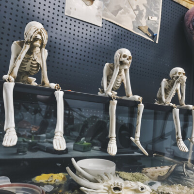 3PCS Halloween Poseable Skeleton Full Life Size Human Skeleton ...