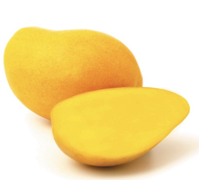 6 inches Ataulfo Honey Mango Tree Starter Plant In A Pot | eBay