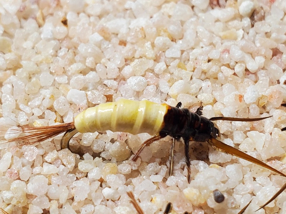 Caddis Larvae Fishing Flies | eBay