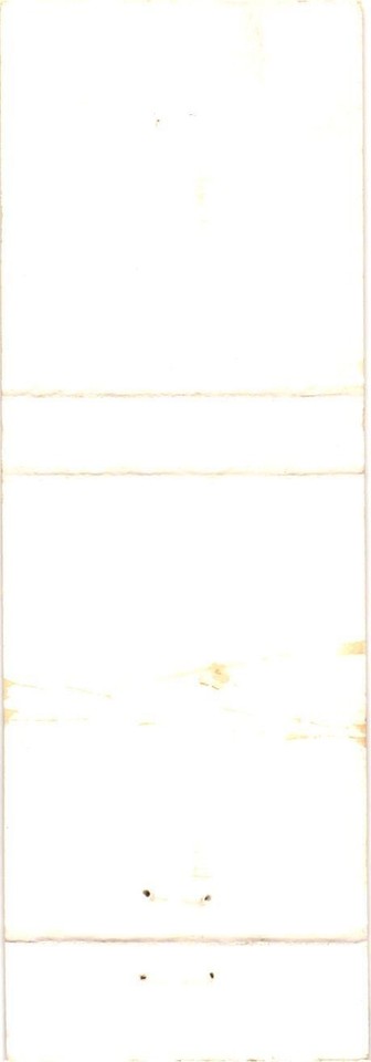 Zayn Zoo, Adorable Penguin And Tiger Cartoons, Vintage Matchbook Cover ...