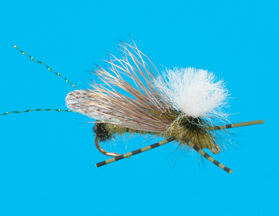 Dry - Strike Indicators