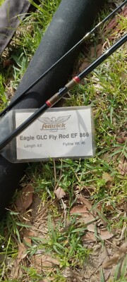 Casting - Fenwick Eagle Graphite