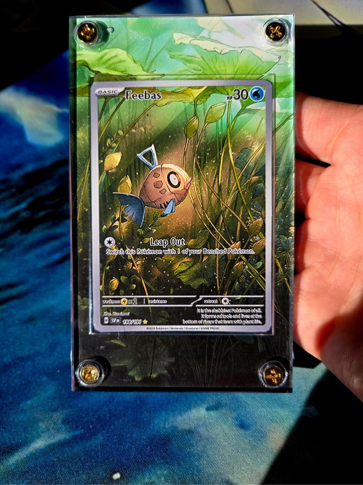 x2 Milotic EX Feebas 237/191 198/191 IR Custom Display Case from ...