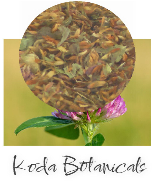 RED CLOVER Herbal Tea PREMIUM GRADE Trifolium pratense Dried Flowers | eBay