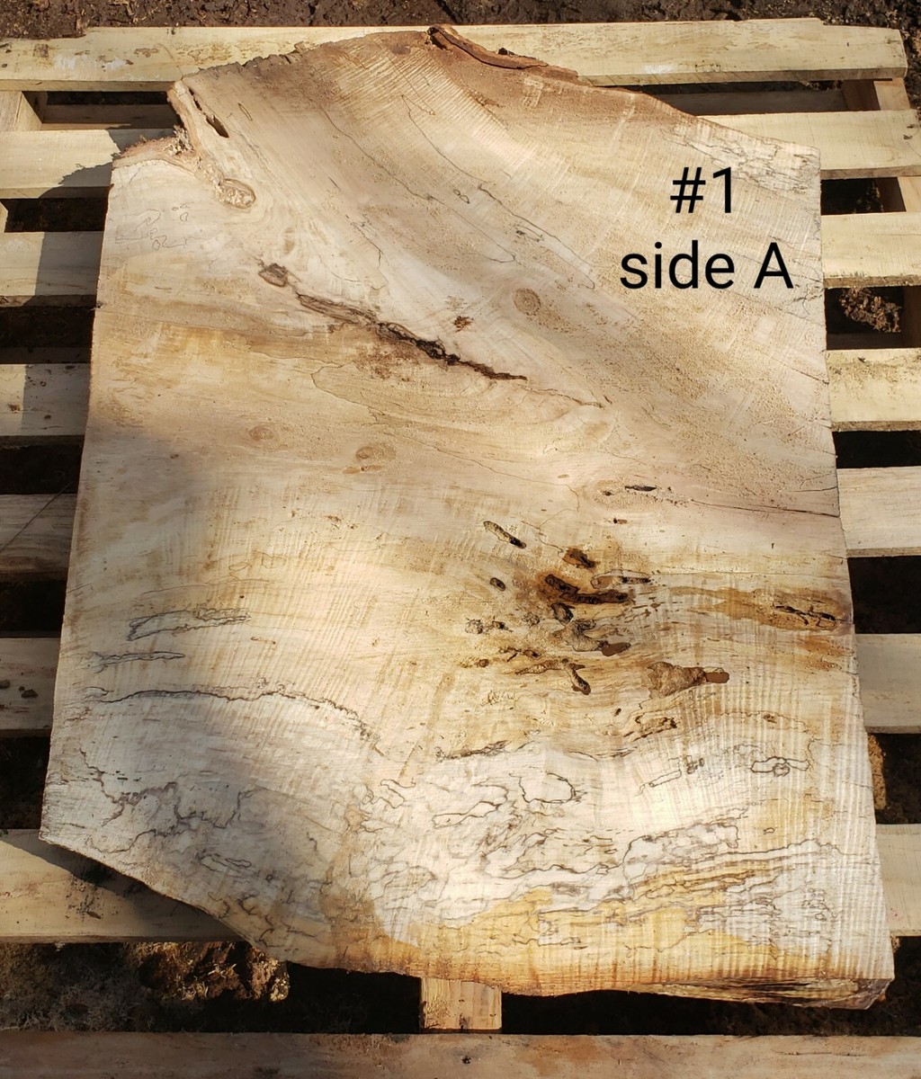 Maple Wood Slab