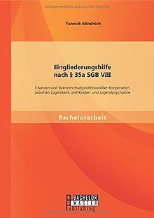 Eingliederungshilfe nach § 35a Sgb Viii: Chancen un... | Buch | Zustand ...