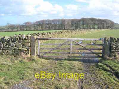 Photo 6x4 Gate and wood High Stoop Seen from the B6296 Wolsingham to ...