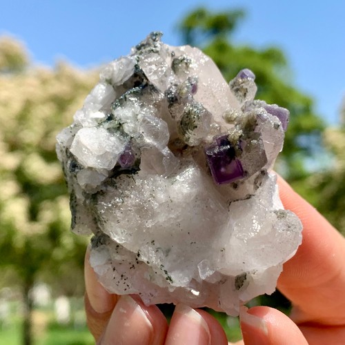 67G Rare transparent Purple; cubic fluorite mineral crystal sample ...