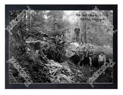 Historic Oak Point Piling & Lumber Co. - Oak Point, Washington Logging ...