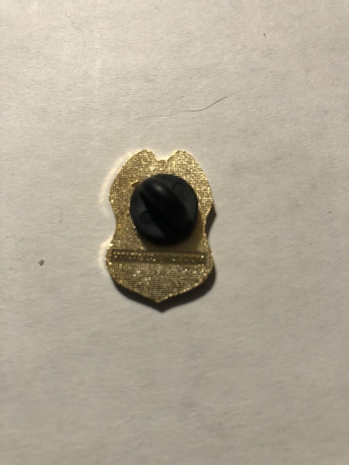 United States Federal Air Marshall Lapel pin (c15) 1in Tall | eBay