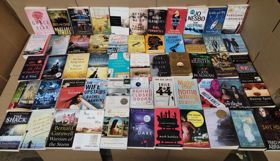 Lot of 20 Large Trade Literature Fiction Paperback BestSeller UNSORTED ...