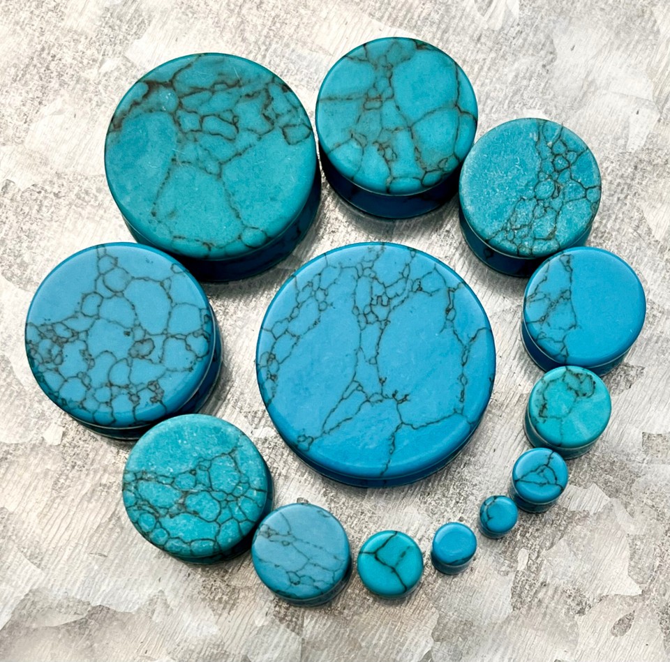 PAIR Turquoise Plugs Stone Earlets Gauges Body Jewelry | eBay