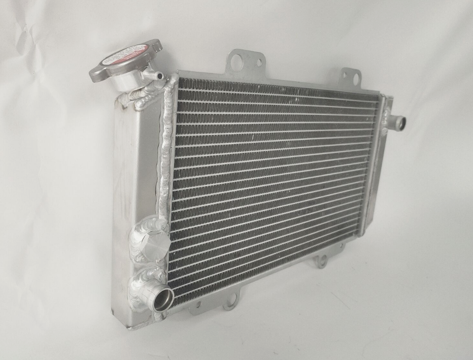 Coleman Trail Tamer 500 800 Radiator For HiSUN Forge 500/700 OEM #19202 ...