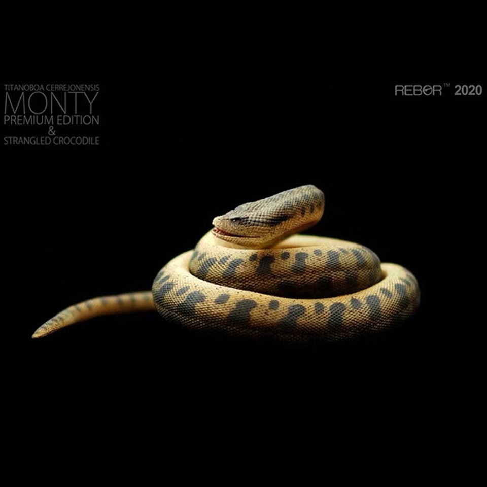 REBOR TITANOBOA CERREJONENSIS MONTY Animal Statue Model Display IN ...